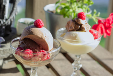 Cedar Writes – The Eclectic Mind of an Author